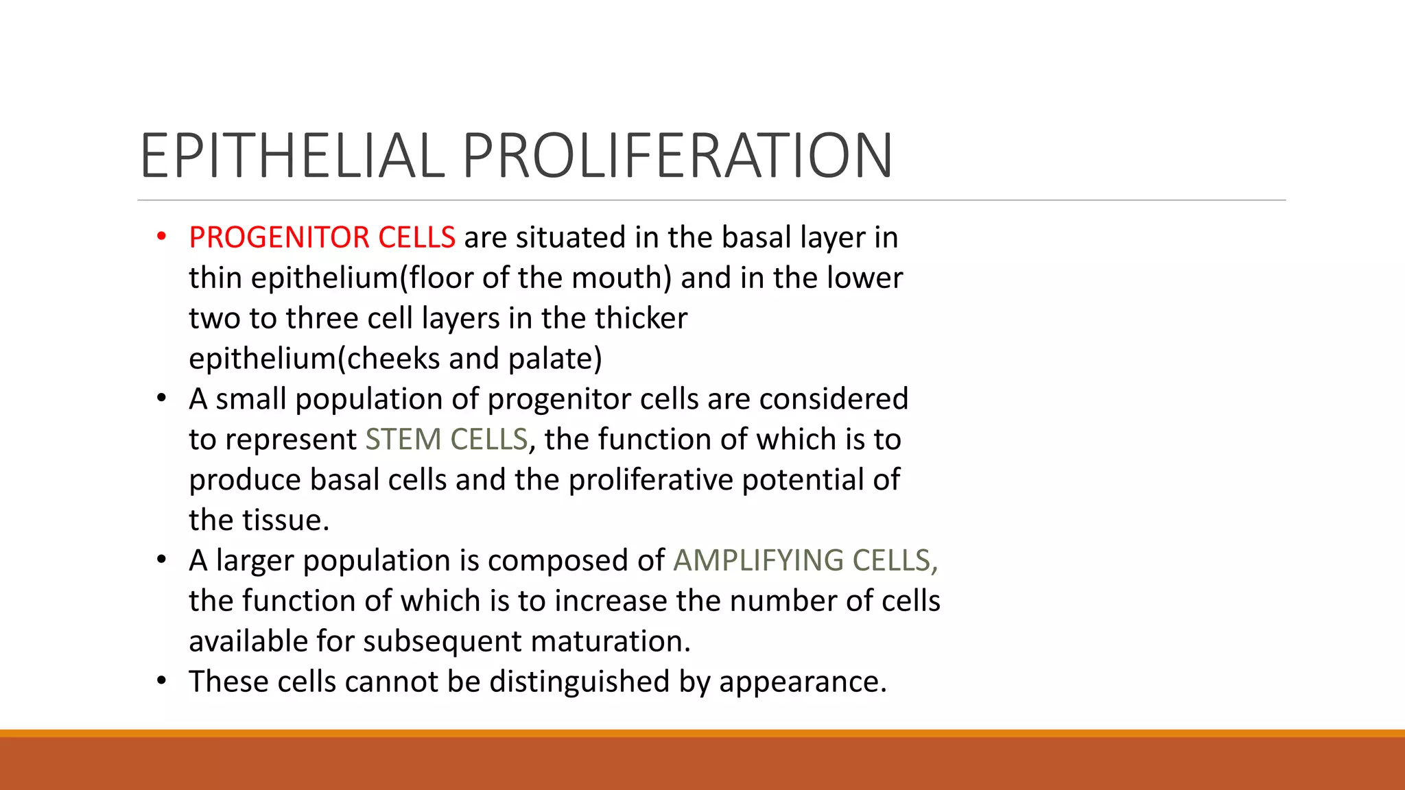 Oral epithelium and Lamina Propria | PPTX