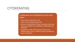 Oral epithelium and Lamina Propria | PPTX