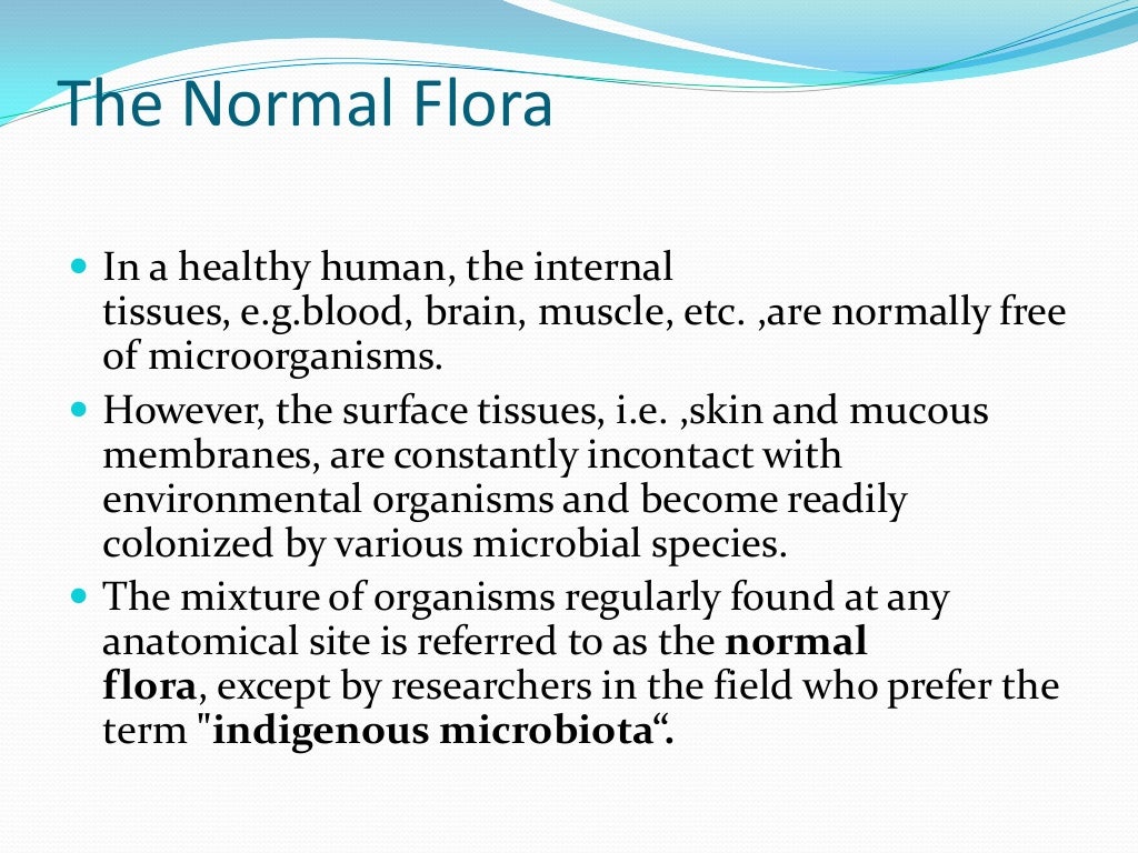 Oral Flora