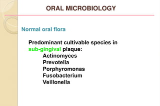 Oral Flora & Plaque structure and function.ppt