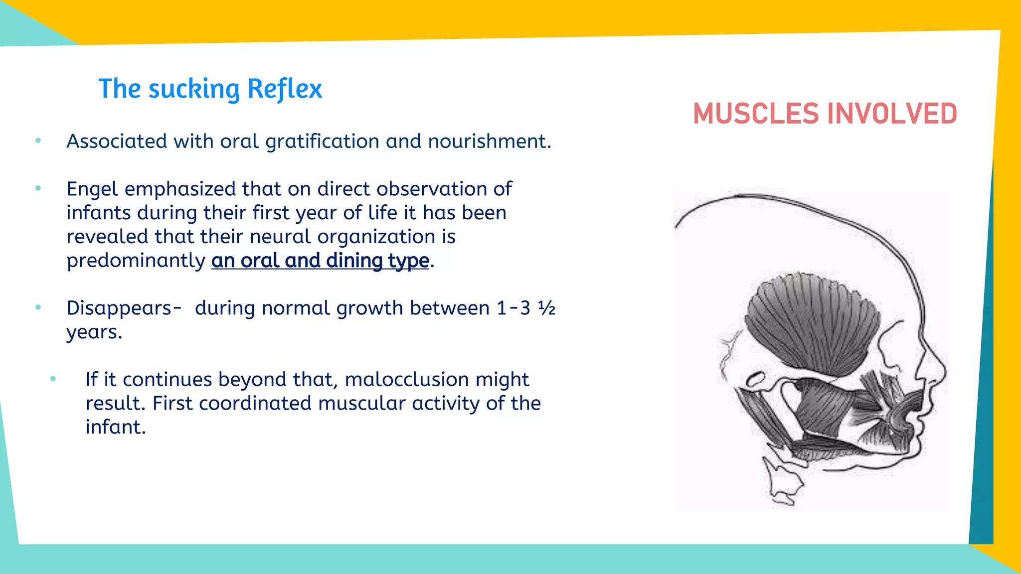 Oral Habits In Children(Thumb Sucking,Tongue Thrusting, Mouth Breathing ...