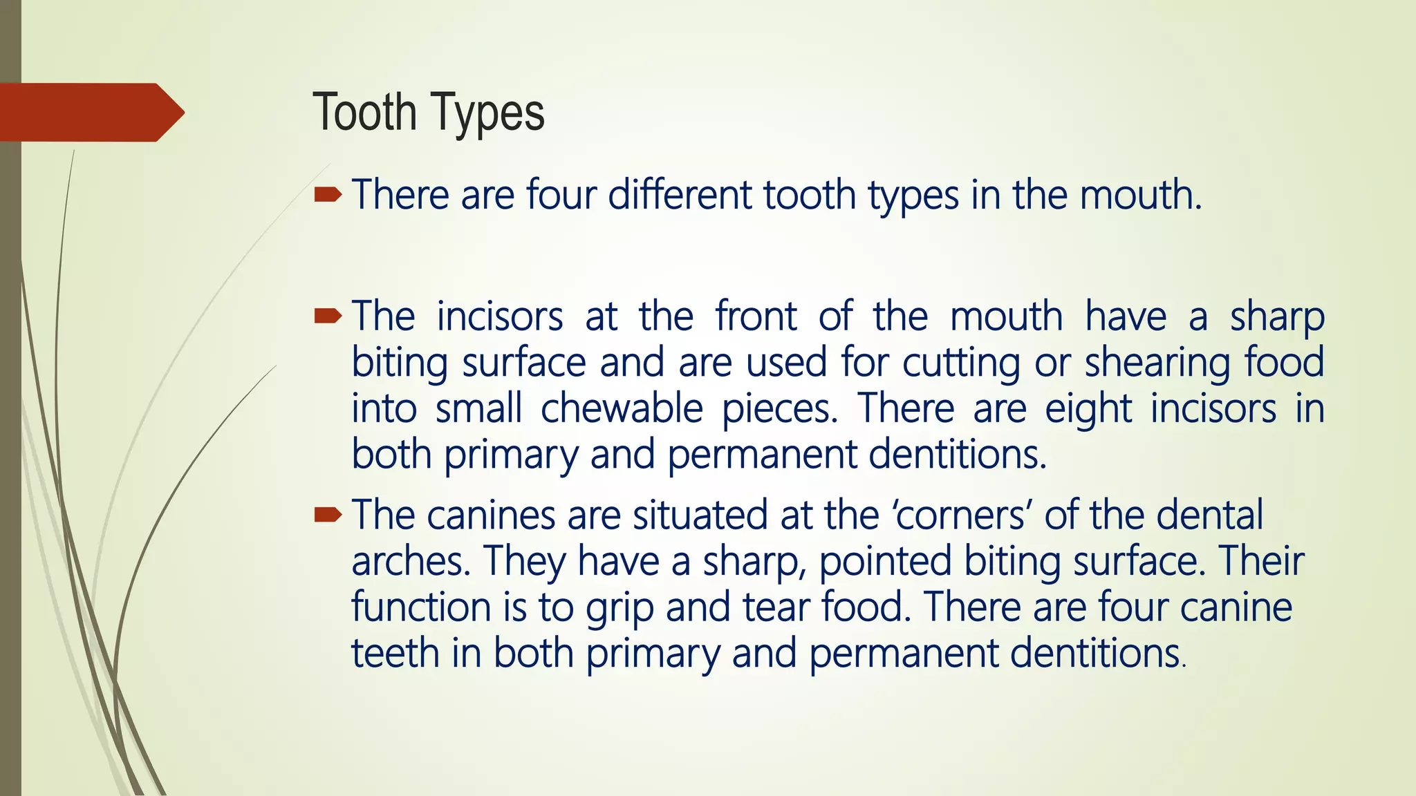 Oral health and oral diseases | PPT