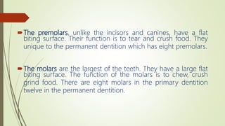 Oral health and oral diseases | PPT