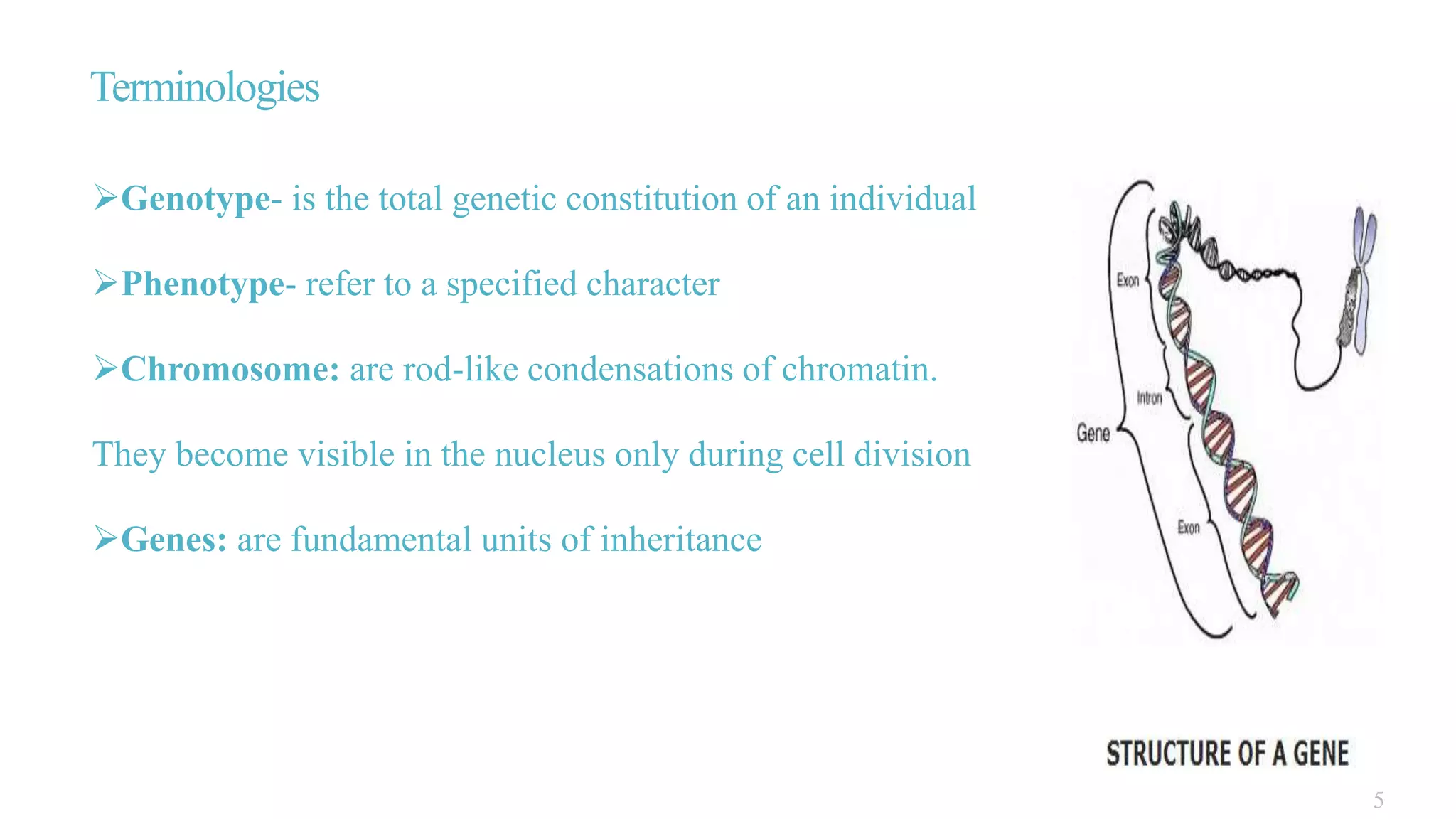 Oral health and genetics | PPTX