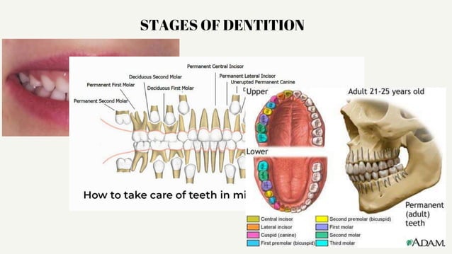 ORAL HEALTH TALK by Dr Tavleen Kaur .pptx