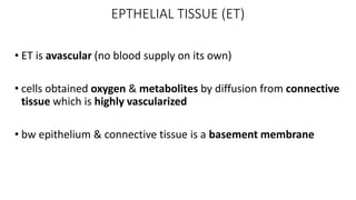 Oral histology | PPTX
