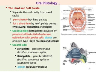 Oral Histology for dental students 2024.pptx