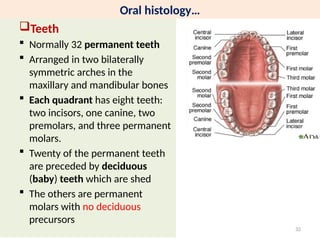 Oral Histology for dental students 2024.pptx