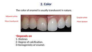 oral histology enamel prof gobran_.pptx
