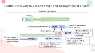 Oral Hygiene redefined- v0.3.pptx