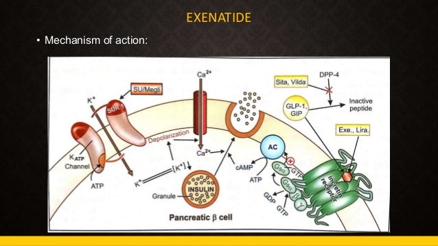 Oral hypoglycaemic agents dr jayesh vaghela