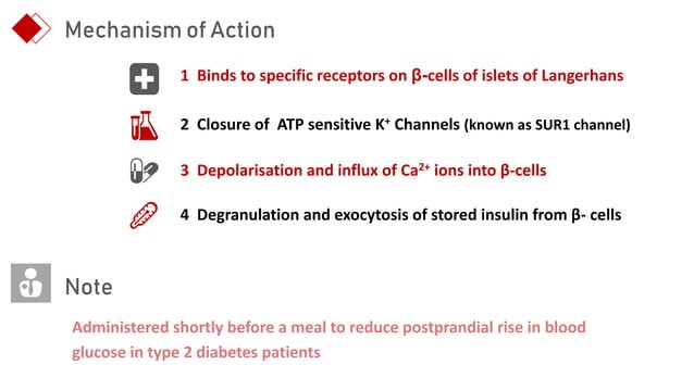 Oral Hypoglycaemic Agents (OHA): MOA and Drugs.pptx | Endocrine and ...