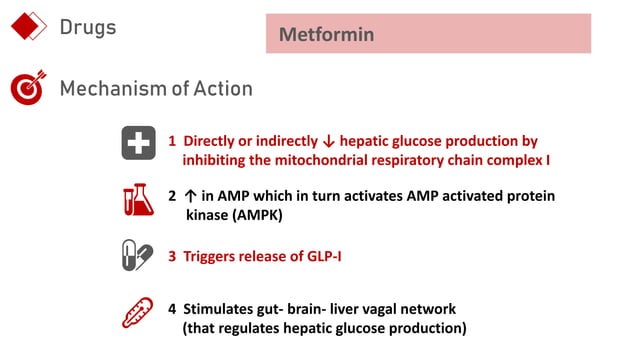 Oral Hypoglycaemic Agents (OHA): MOA and Drugs.pptx | Endocrine and ...