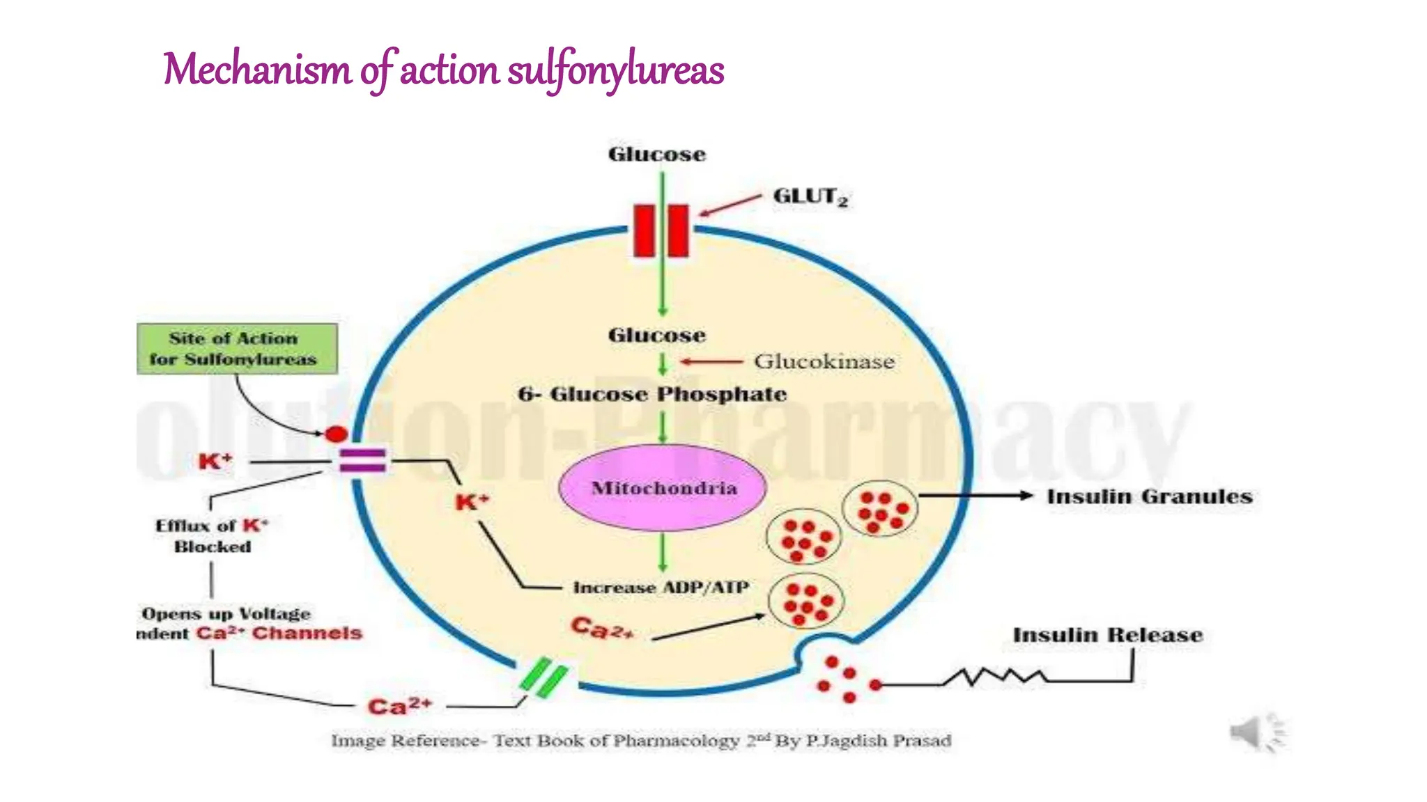 ORAL HYPOGLYCEMIC AGENT.ppt Sulfonylurea drugs. | PPT