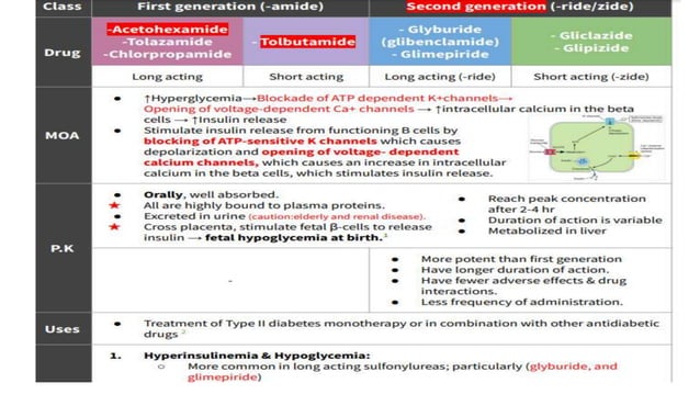 ORAL HYPOGLYCEMIC AGENT.ppt Sulfonylurea drugs. | PPT