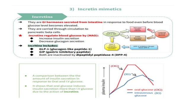 ORAL HYPOGLYCEMIC AGENT.ppt Sulfonylurea drugs. | PPT