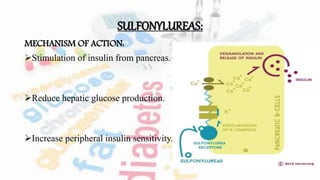 Oral hypoglycemic agents | PPTX | Diabetes | Diseases and Conditions