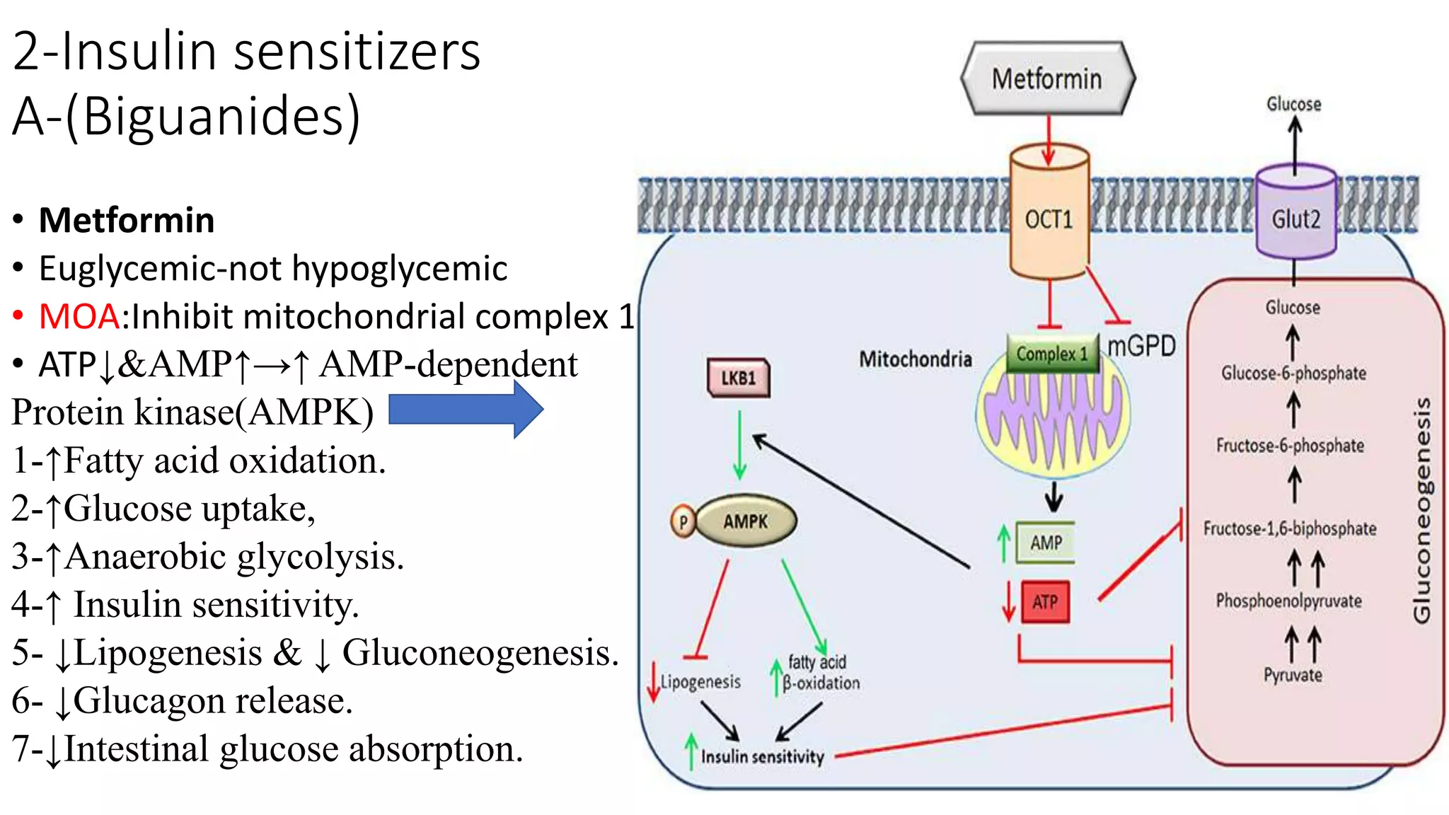 Oral hypoglycemic drugs | PPTX