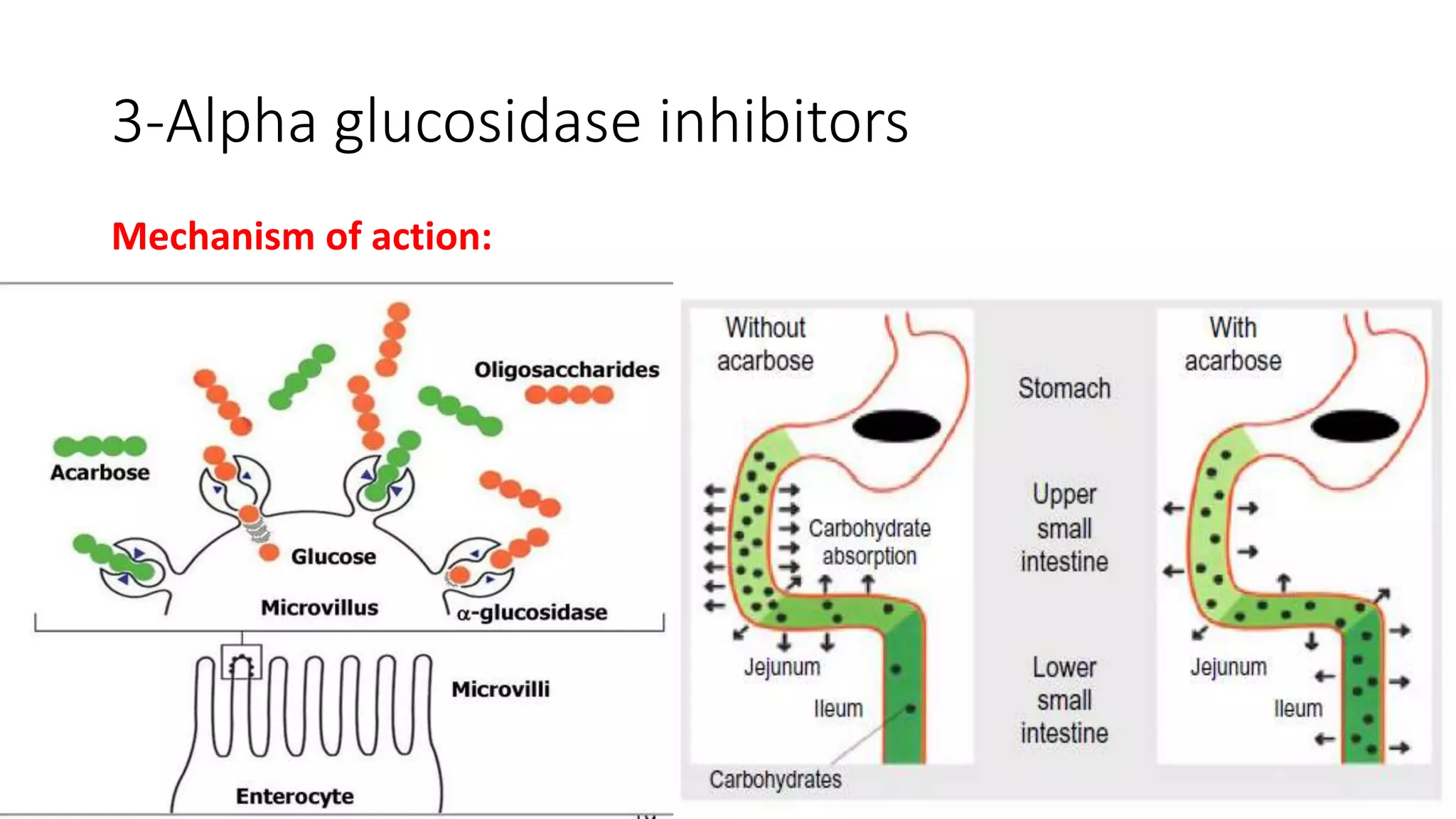 Oral hypoglycemic drugs | PPTX
