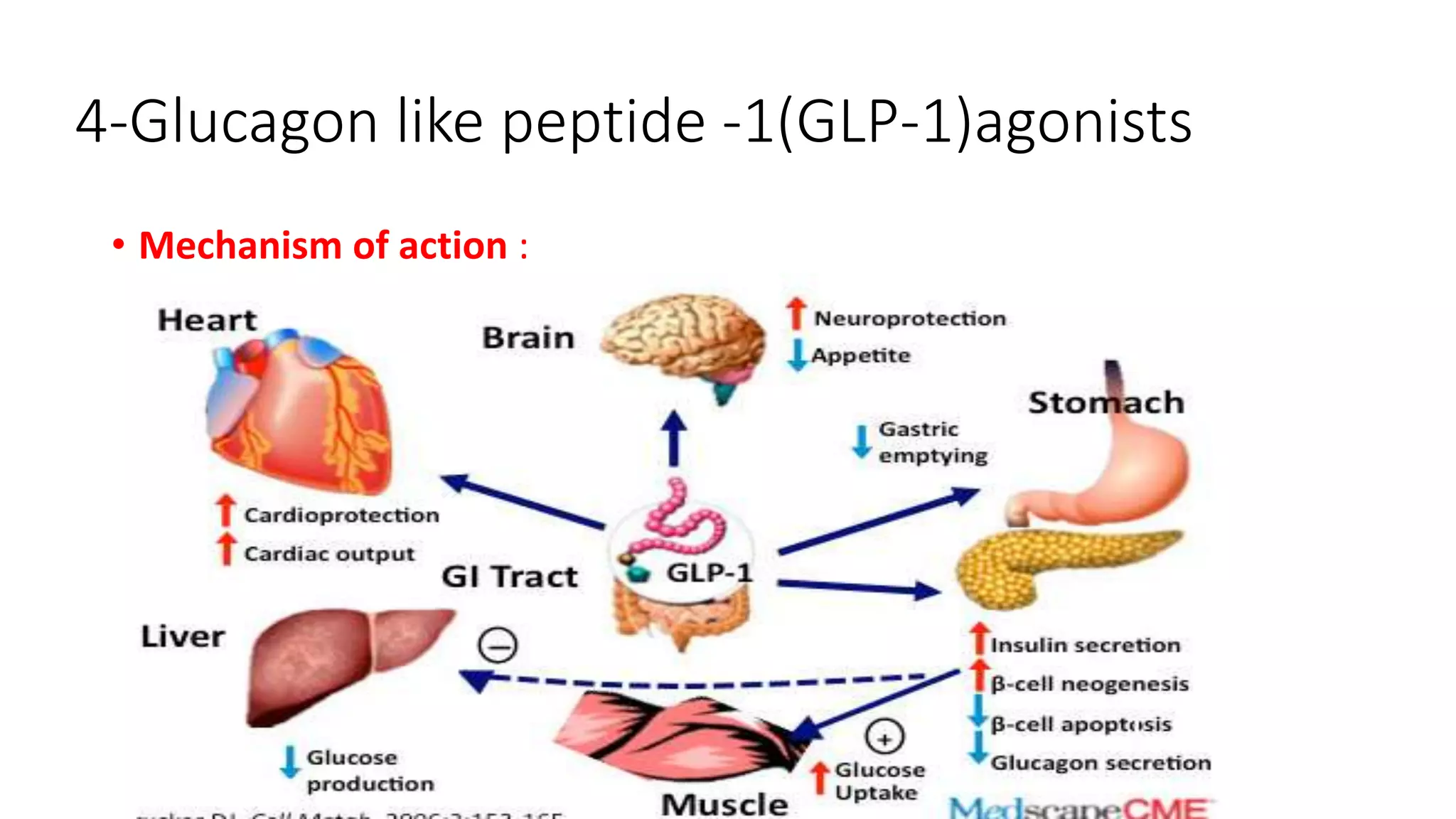 Oral hypoglycemic drugs | PPTX