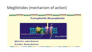 Oral hypoglycemic drugs | PPTX