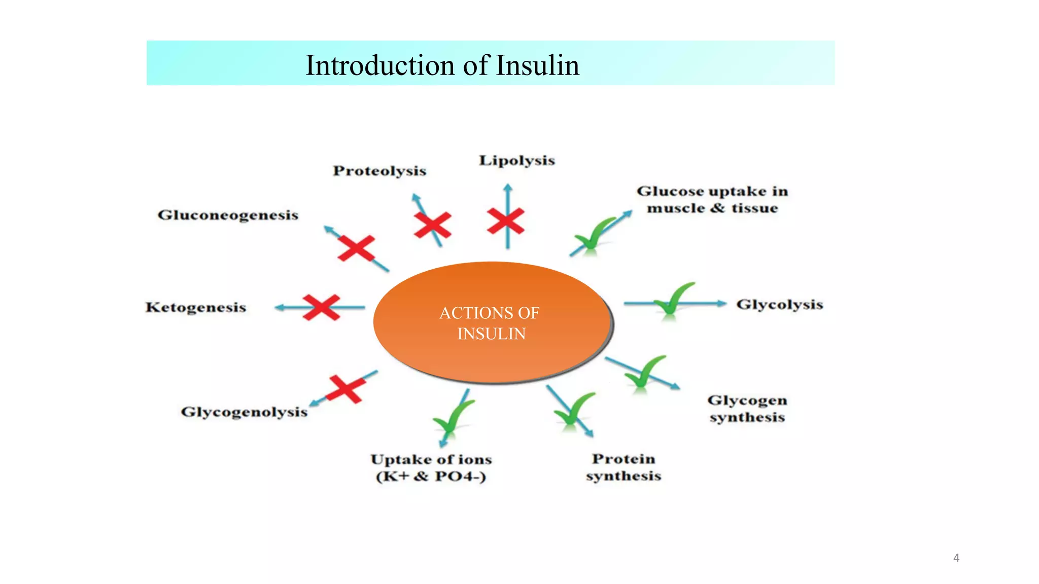 Oral insulin delivery | PPT