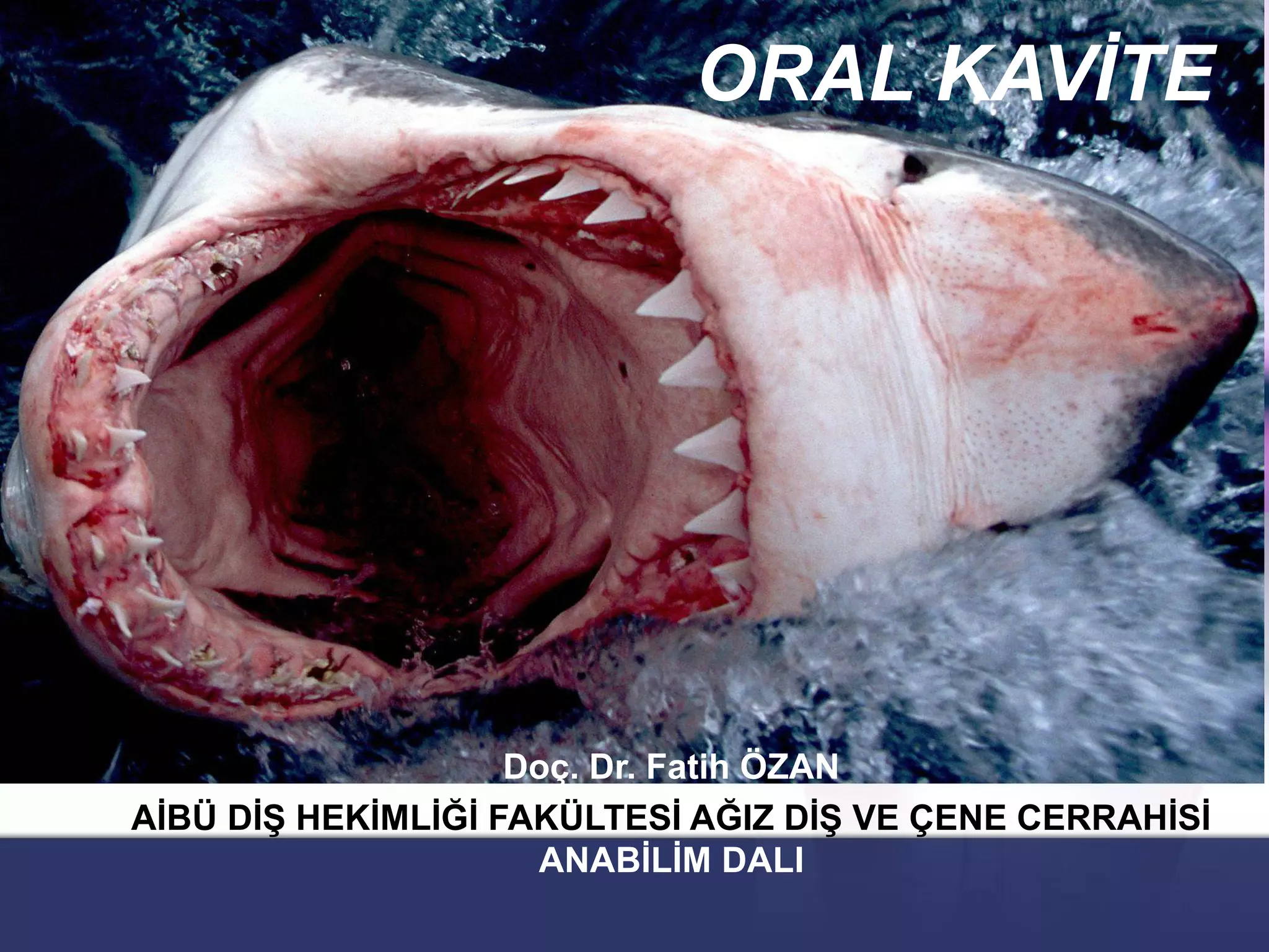 Oral kavi̇te | PPT