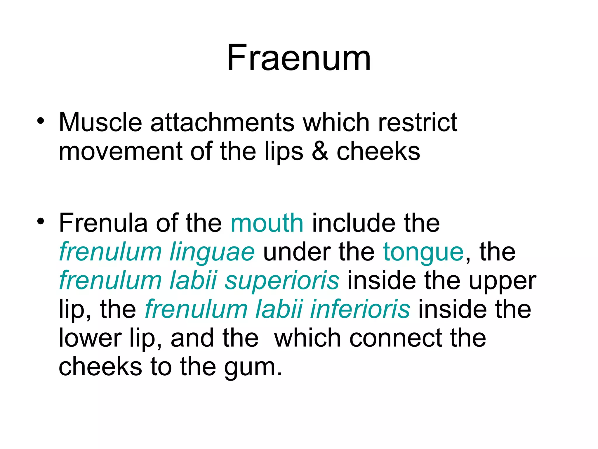 Oral landmarks | PPT