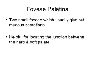 Oral landmarks | PPT