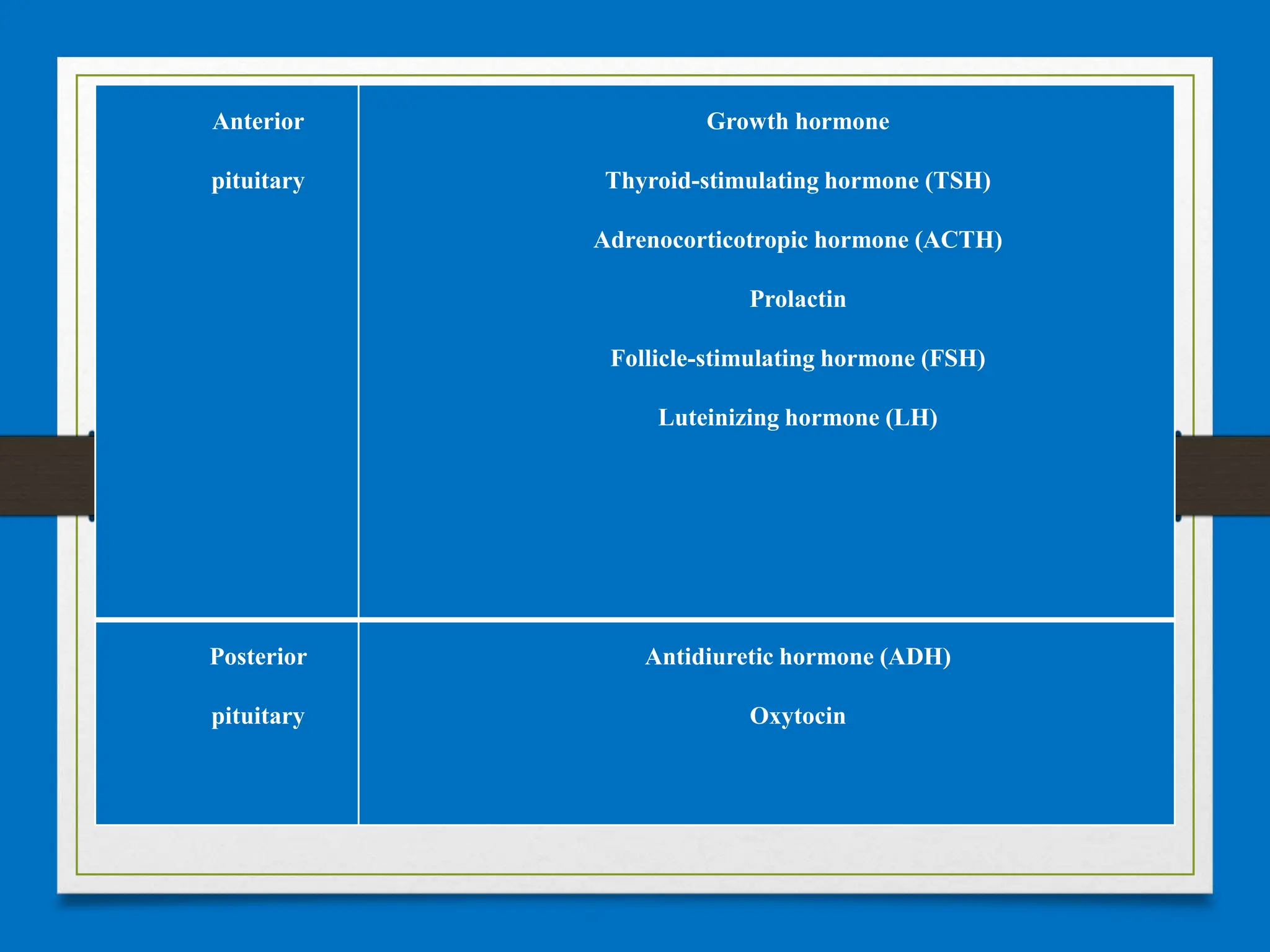 ORAL MANIFESTATIONS OF ENDOCRINE DISORDERS.ppt