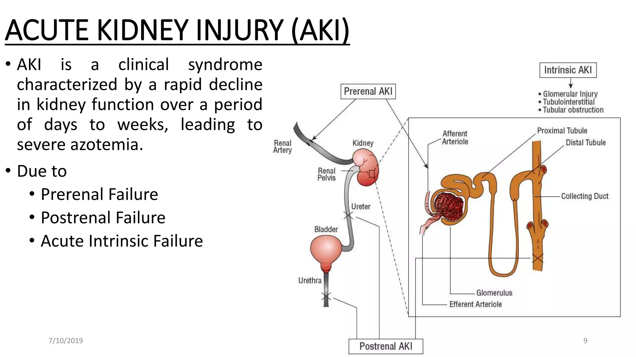 Oral manifestations of renal diseases | PPTX