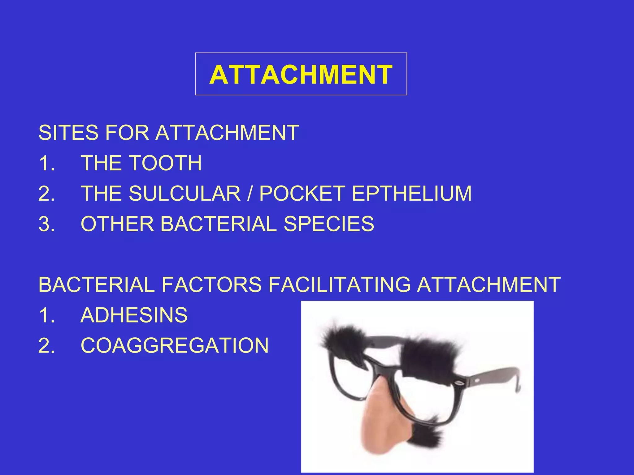 Oral microbiology- Dr Harshavardhan Patwal | PPTX