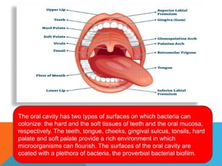 ORAL MICROBIOME.pptx by UMNA FATIMA- BIOMED | PPTX