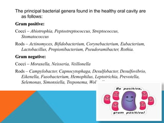 ORAL MICROBIOME.pptx by UMNA FATIMA- BIOMED | PPTX