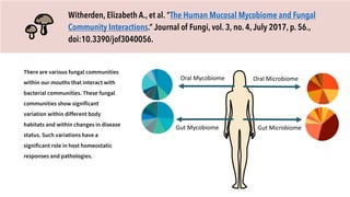 Visual Annotated Oral Microbiome Research Bibliography | PPT