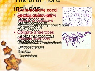 Oral microbology ppt | PPT
