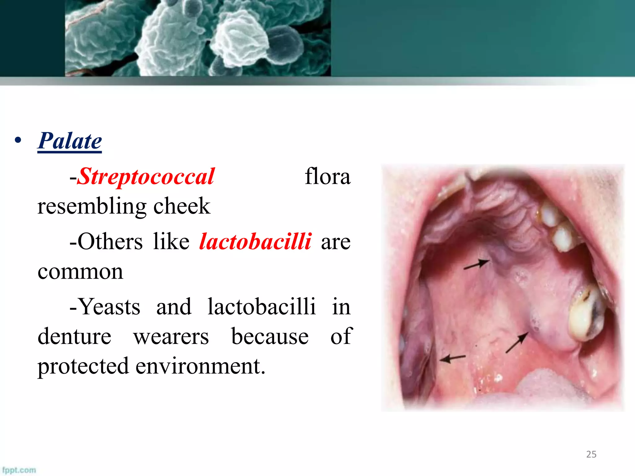 Oral microflora | PPTX