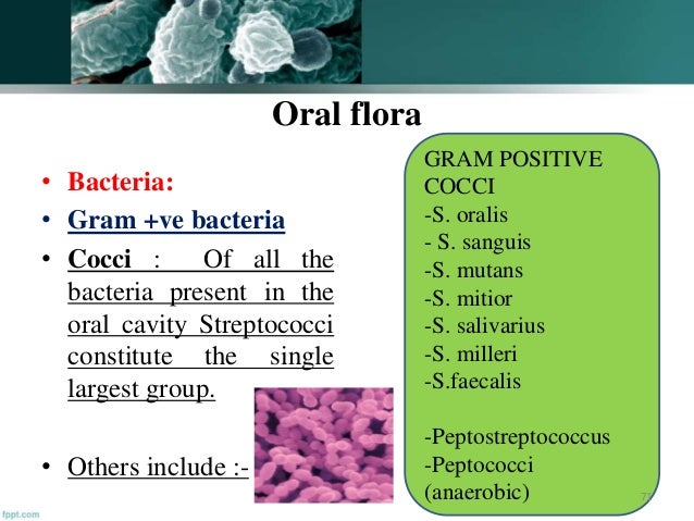 Oral microflora