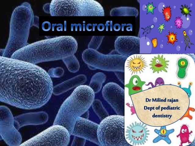 Oral microflora | PPT