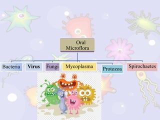 Oral microflora | PPTX