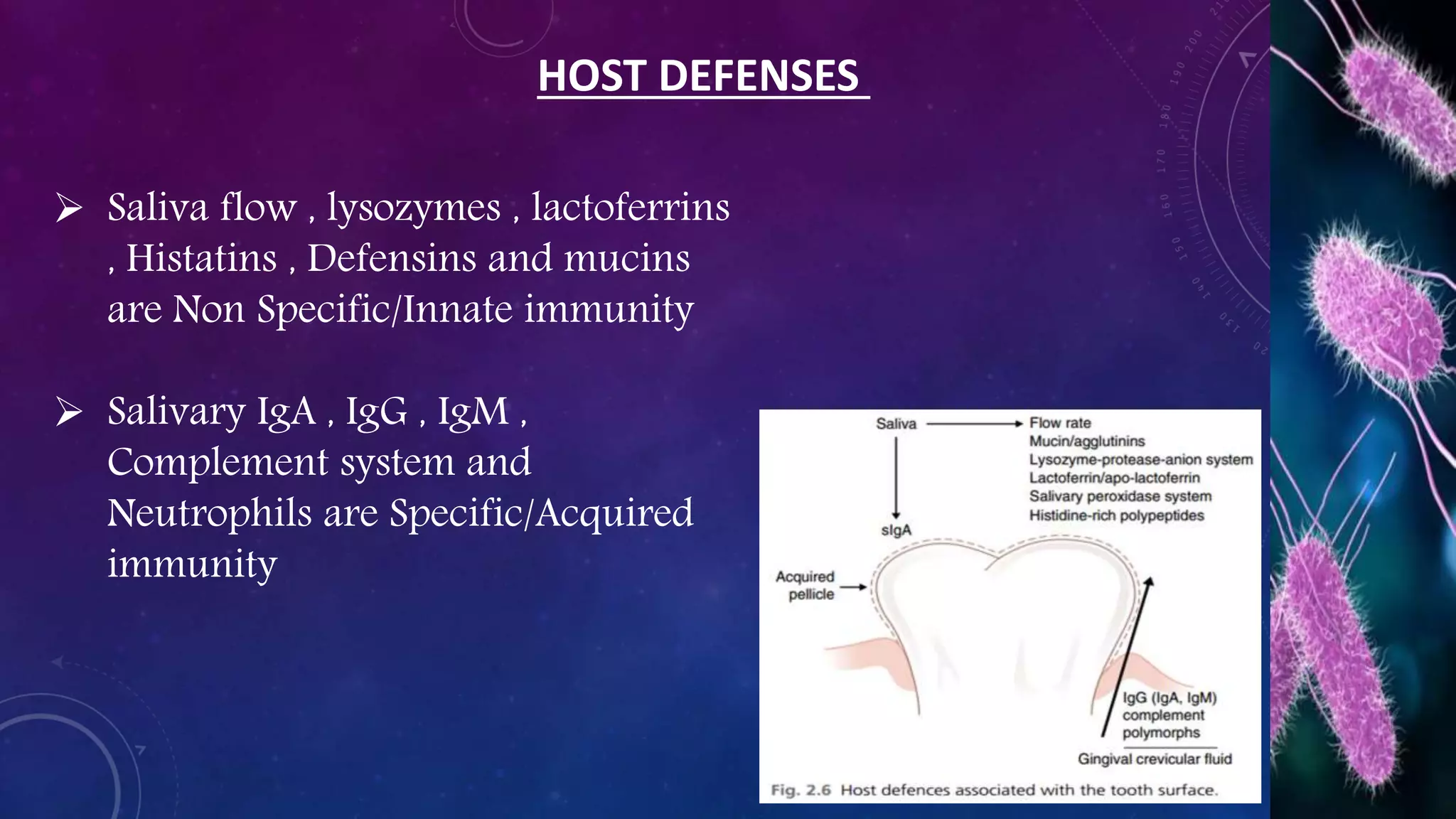 Oral microbiology:normal oram microflora and Dental plaque | PPTX