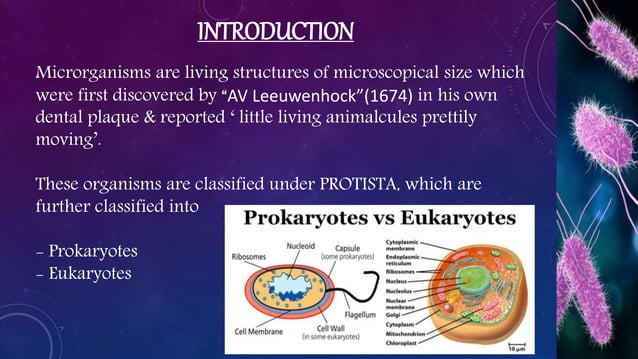 Oral microbiology:normal oram microflora and Dental plaque | PPTX
