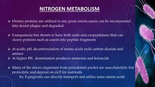Oral microbiology:normal oram microflora and Dental plaque | PPTX