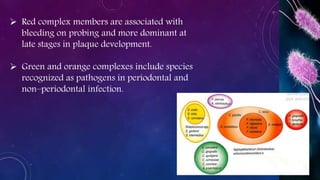 Oral microbiology:normal oram microflora and Dental plaque | PPTX