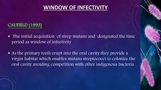 Oral microbiology:normal oram microflora and Dental plaque | PPTX