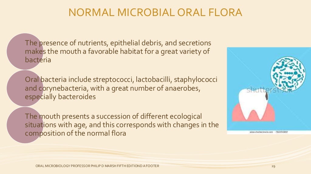 Oral microflora