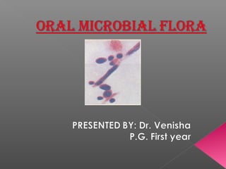 Oral microflora vinesha | PPT