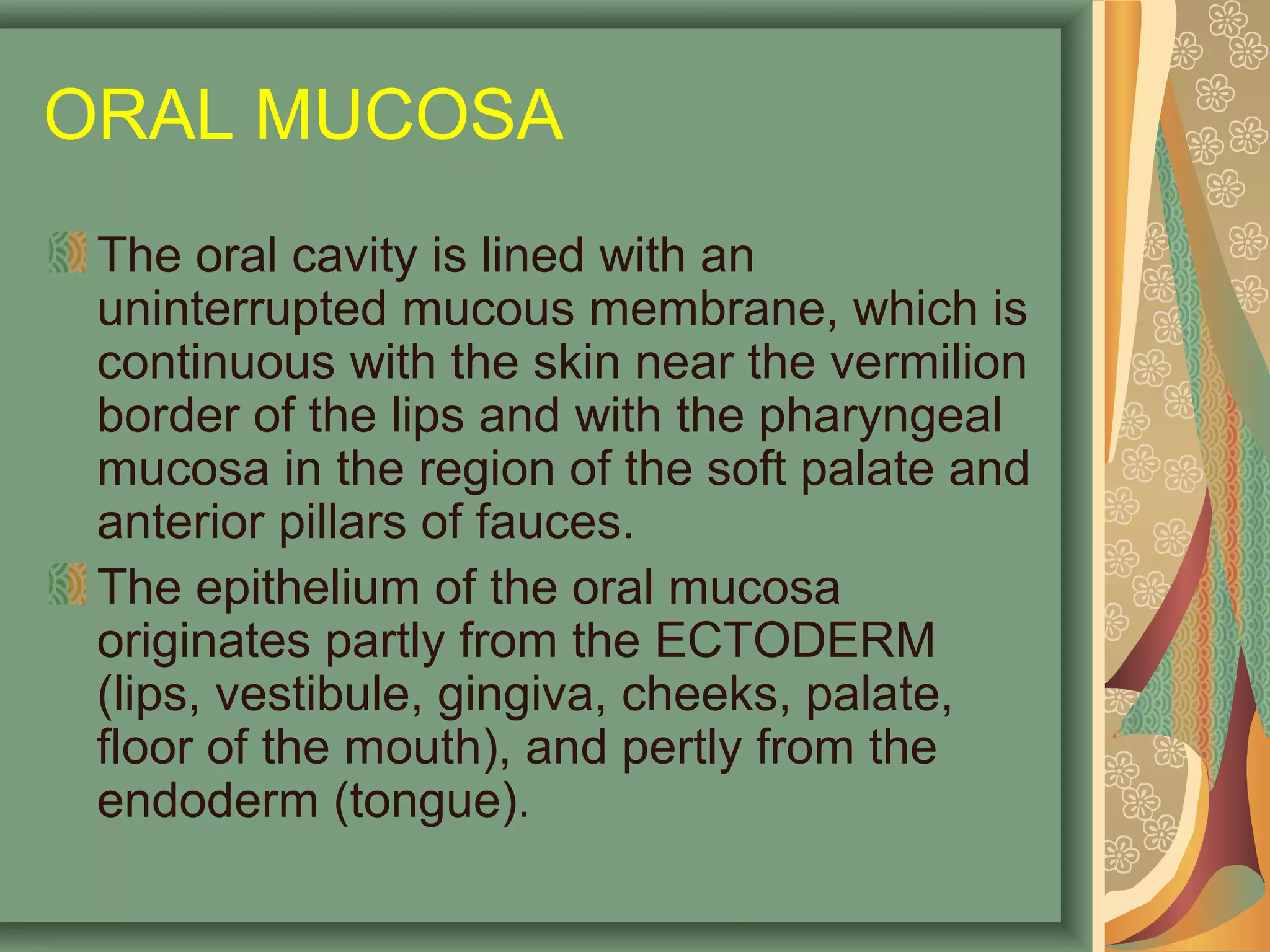 Oral Mucosa | PPT