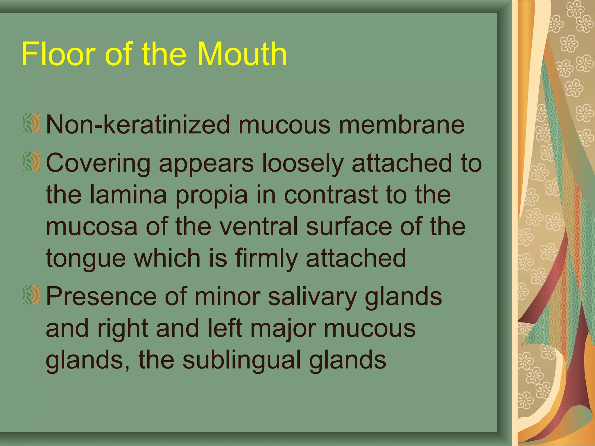 Oral Mucosa | PPT