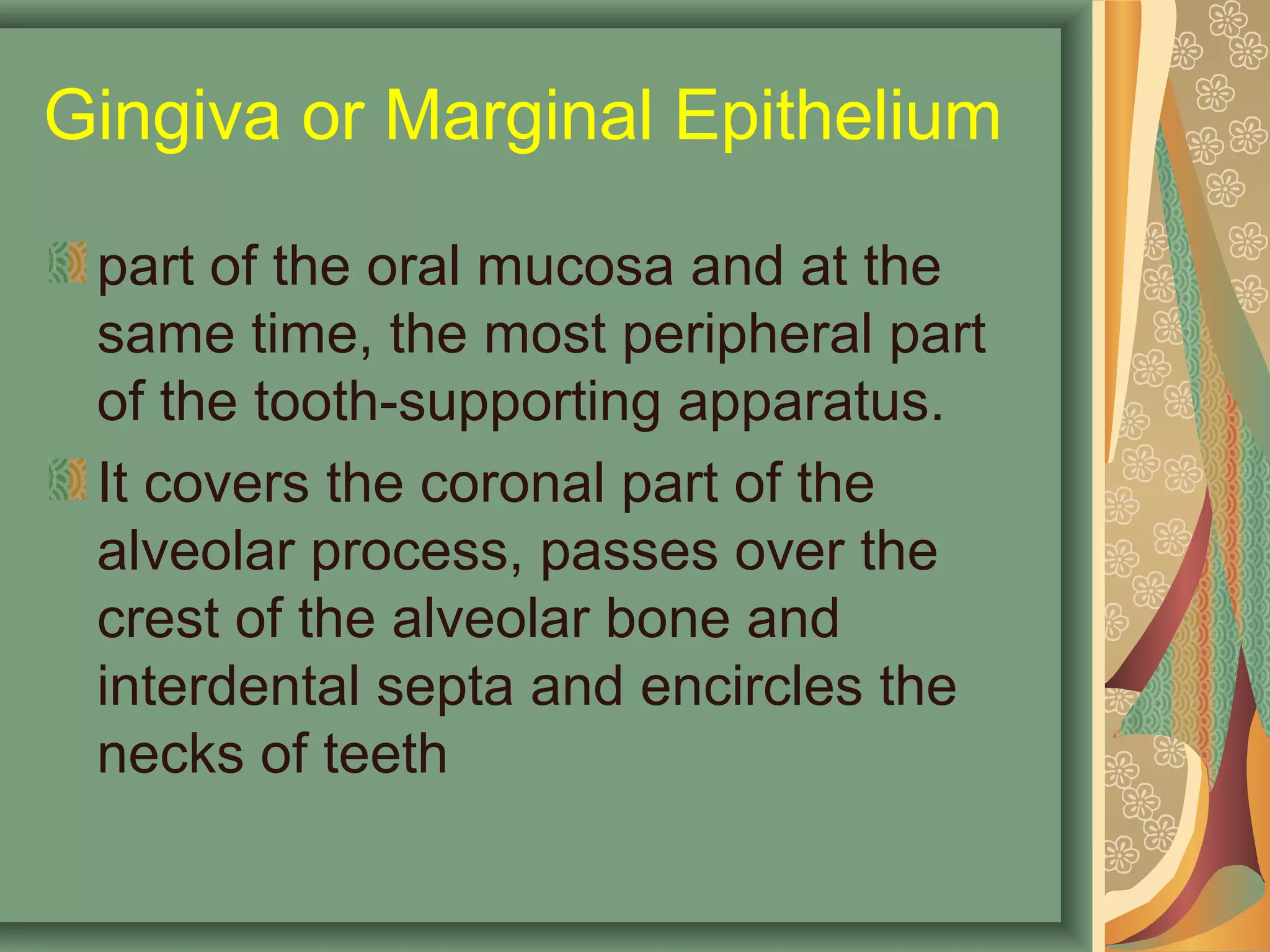 Oral Mucosa | PPT